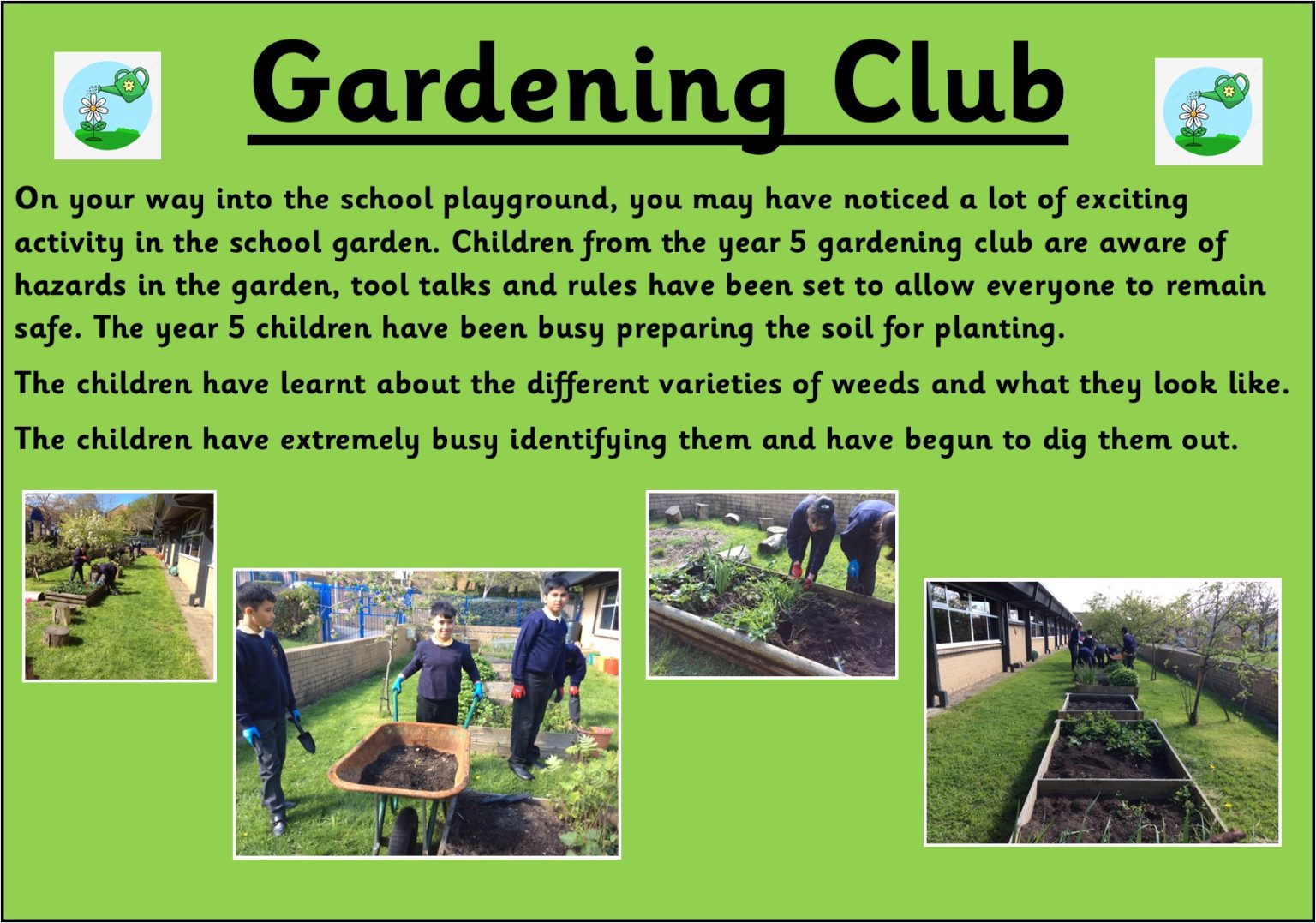 School Garden - Girlington Primary School